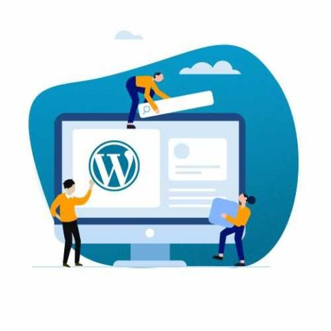 Web Development Company India | Best Website Development Services